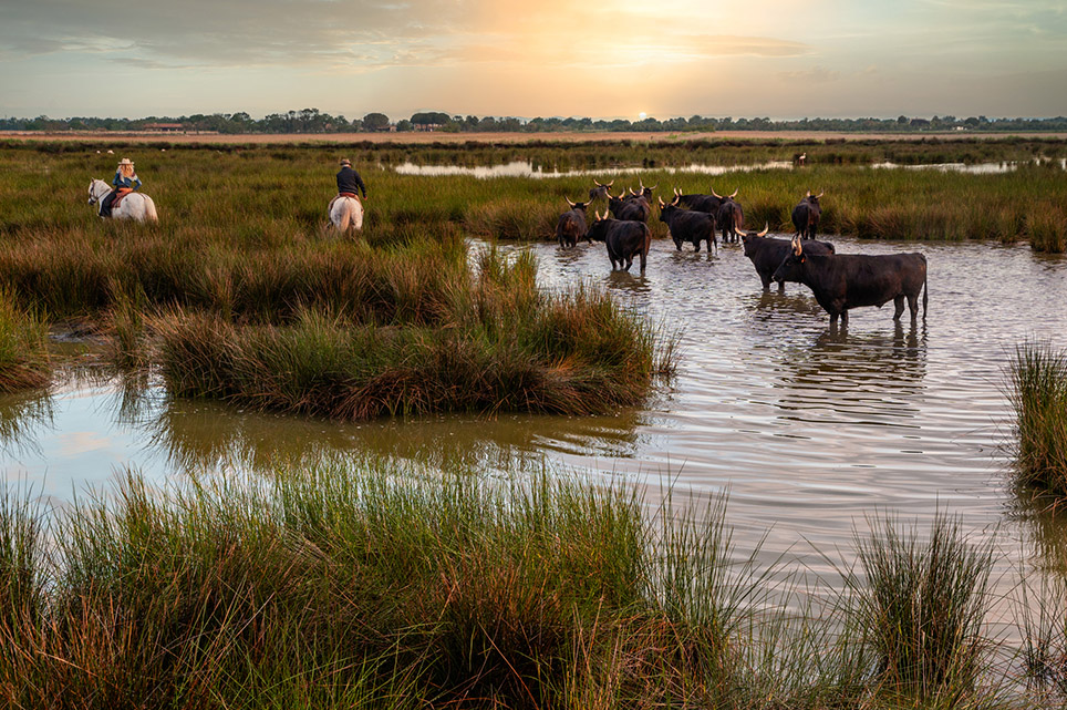 Les 14 plus belles réserves naturelles de France | Écoute Online
